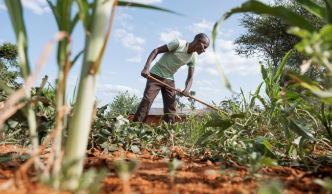Kenya Drought: Julius’ Story | CBM UK